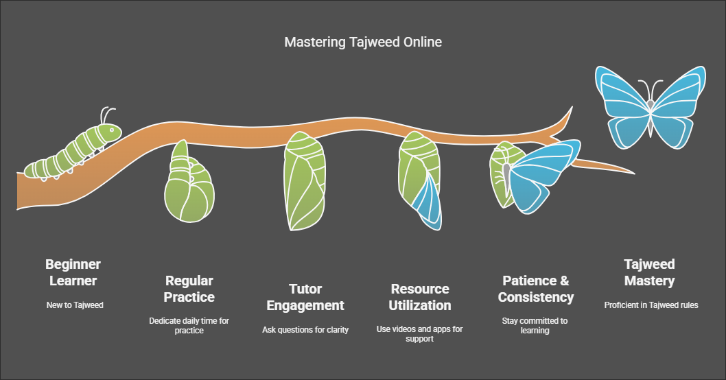 How To Choose Best Online Tajweed Course: A Complete Guide